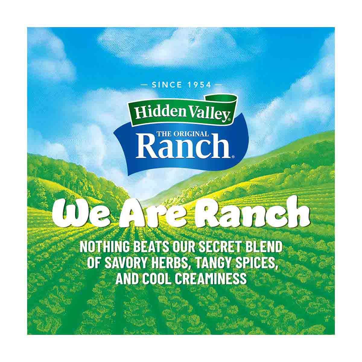 Buy Hidden Valley Original Ranch Dips Mix Packet, 1 oz from Dollar ...